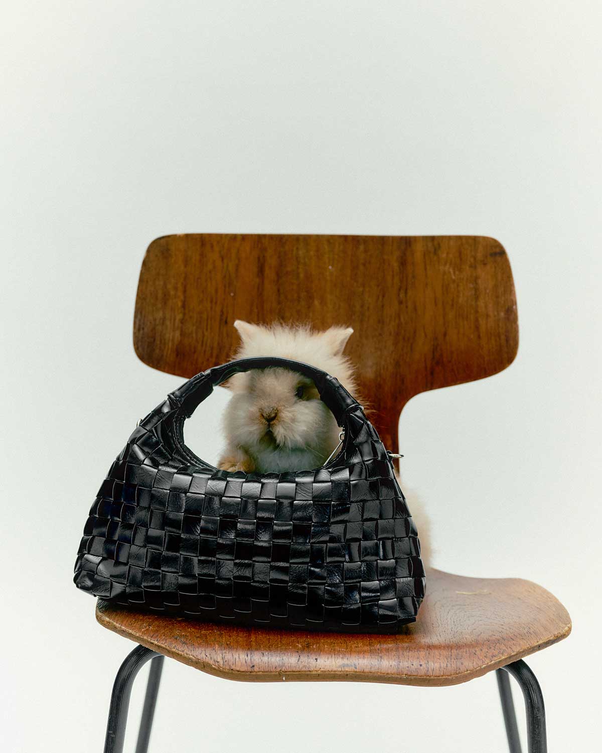 Núnoo official webshop – Núnoo EU